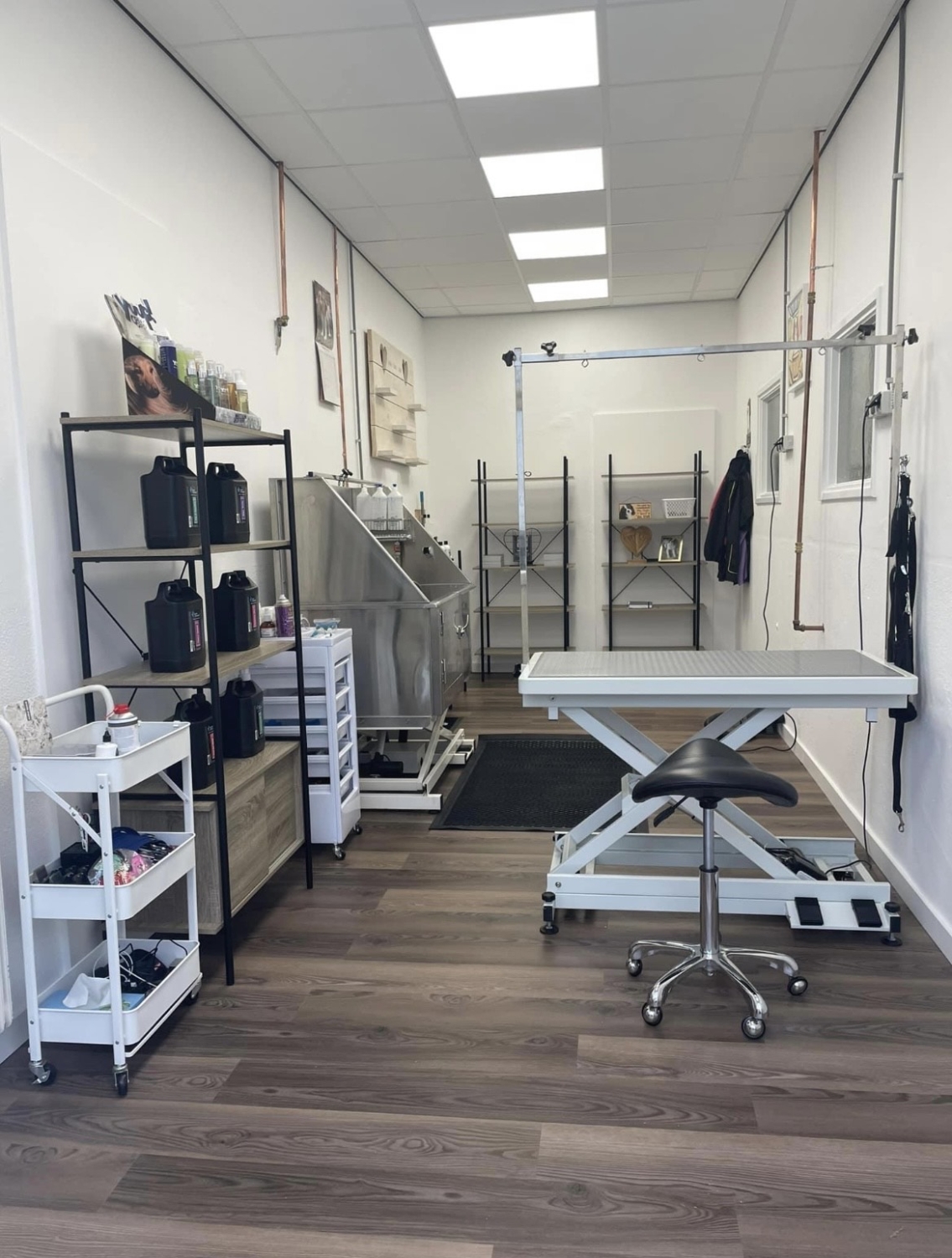 Gwen Hondentrimsalon